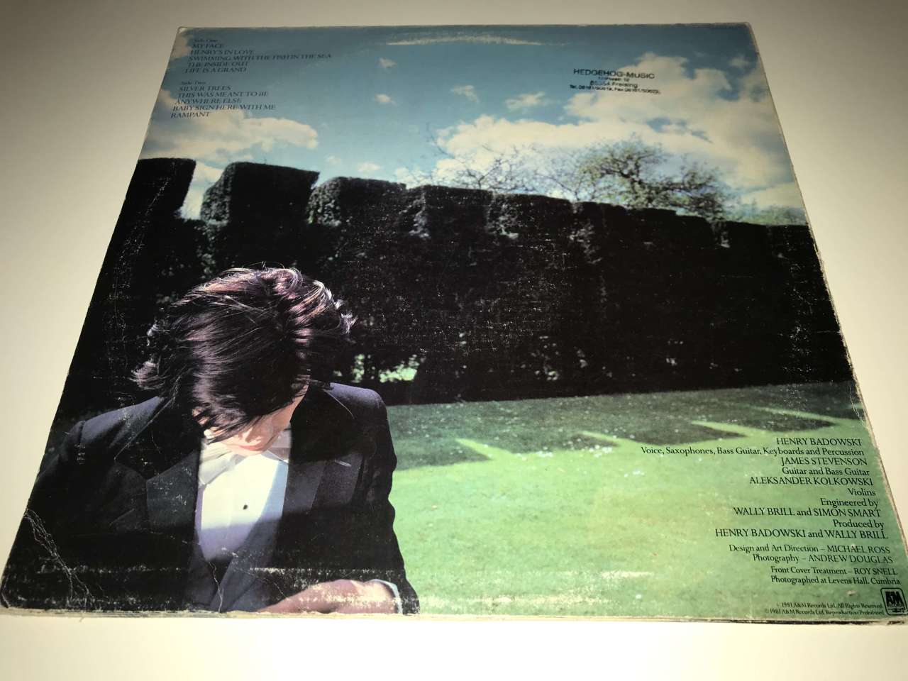 Henry Badowski ‎– Life Is A Grand... Plak, CD, DVD Satın Al